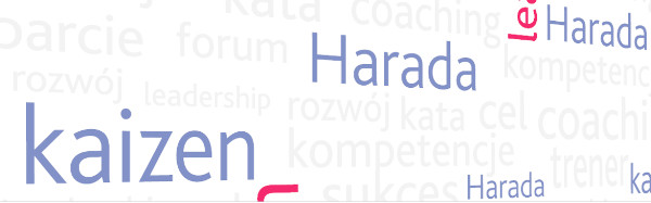 Metoda Harada - Wszyscy pracują ciężko, ale bez strachu... | LeanCenter.pl